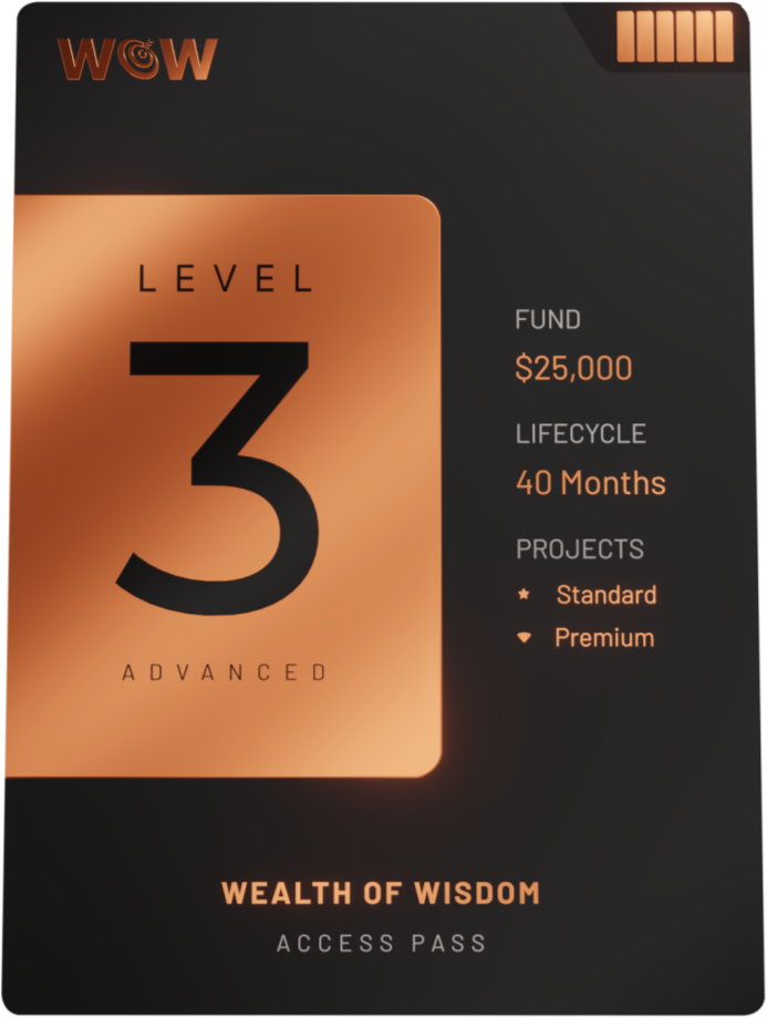 Levels - Wealth Of Wisdom